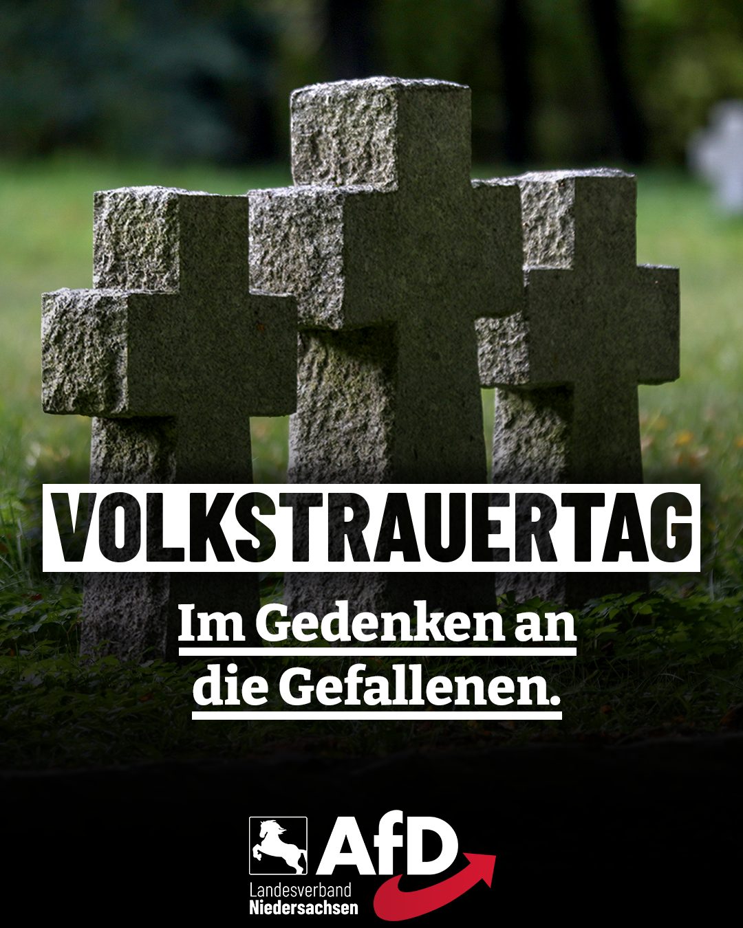 Volkstrauertag: In Gedenken an unsere Gefallenen und alle Opfer von Krieg und Gewalt - AfD ...